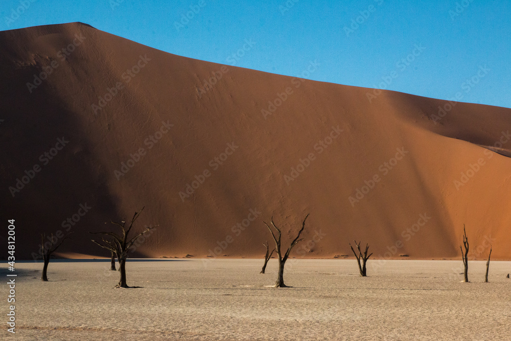 famous dead trees of dead vlei in front of red dunes Stock Photo ...