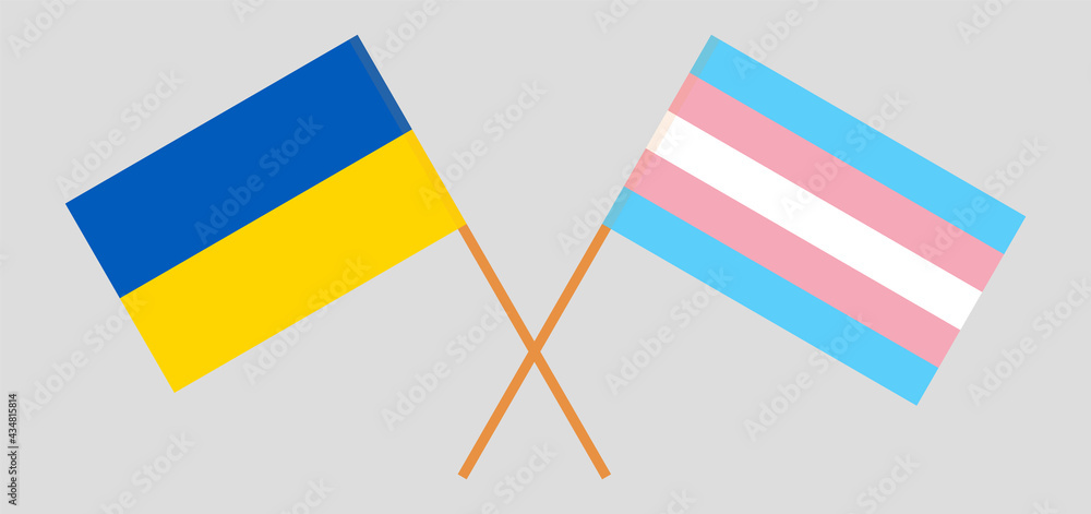 Crossed flags of Ukraine and transgender pride. Official colors ...