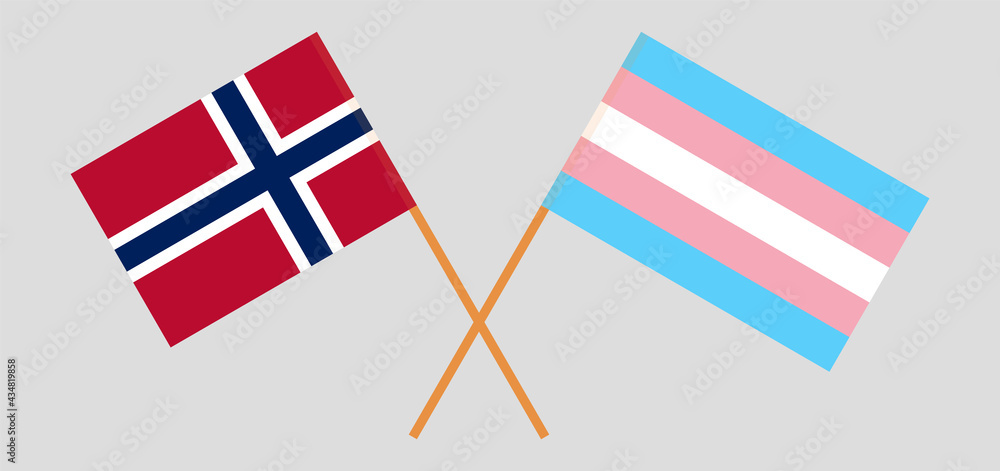 Crossed flags of Norway and transgender pride. Official colors. Correct ...