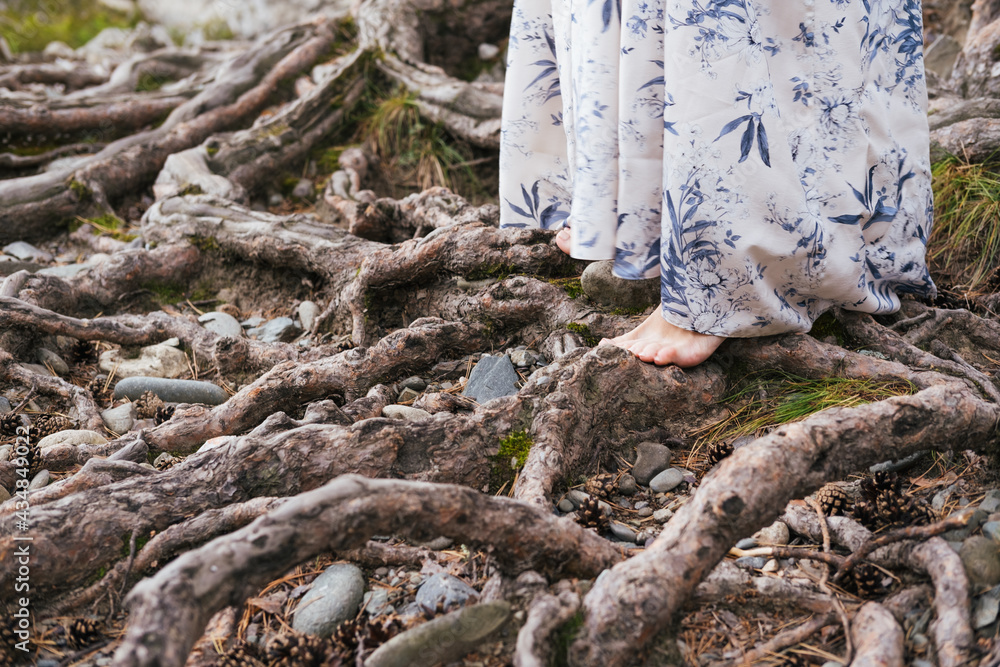 barefoot woman wearing long natural dress standing on big tree roots in ...