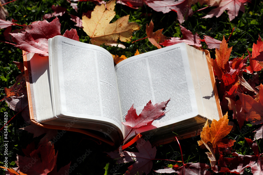 Open bible on a bench with dry fallen autumn red leaves. Faith and ...