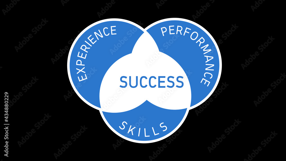 Venn Diagram of Success Is Experience Performance Skill and Experience ...