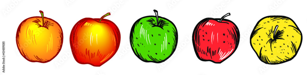variétés de pomme Stock Vector | Adobe Stock
