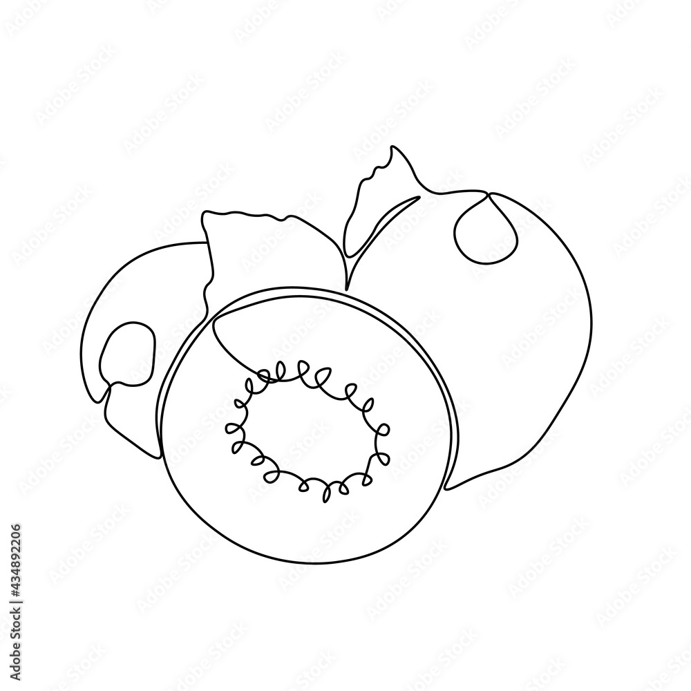 Continuous one line drawing kiwi. Vector illustration. Black line art ...