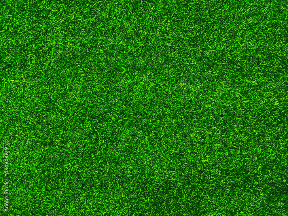 Green grass texture background grass garden concept used for making ...