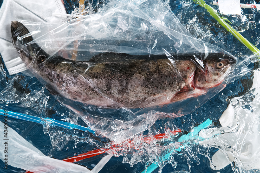 Falling sea fish with plastic garbage. Plastic waste environmental ...
