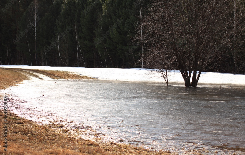 spring landscape and snow melting in the forest in Russia central ...