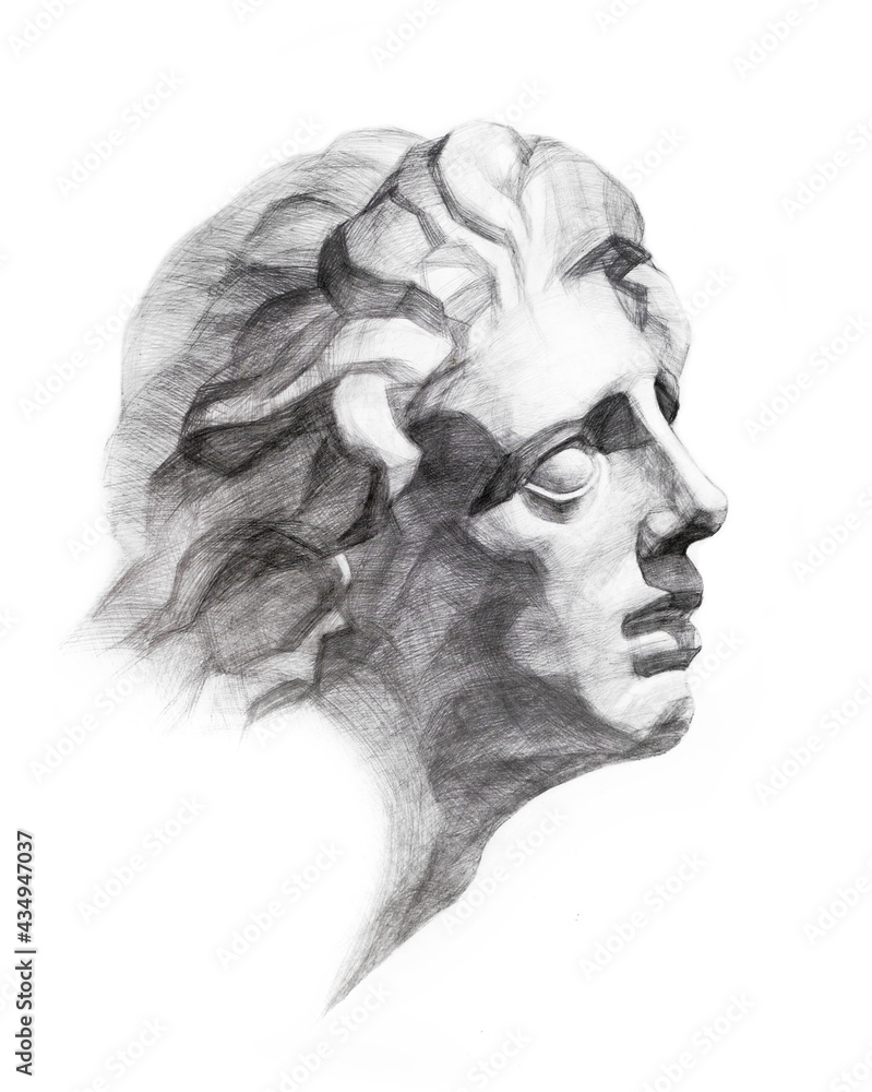 Pencil sketch of greek plaster head. Drawing artwork illustration of ...