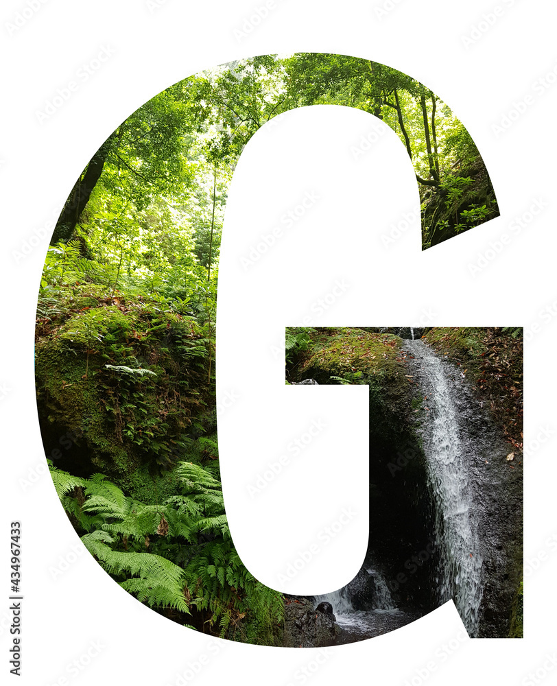 Letras rellenas de imagen de selva tropical, muy verde con cascada ...