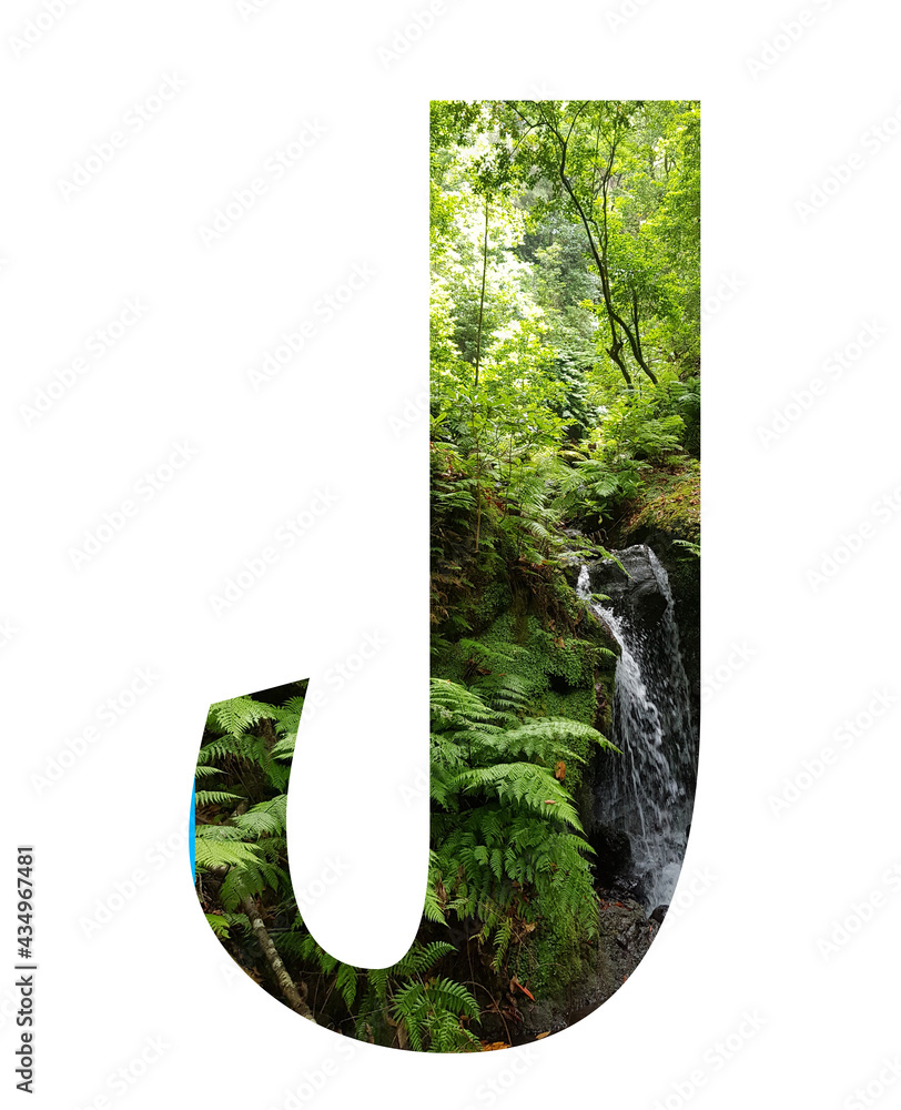Letras rellenas de imagen de selva tropical, muy verde con cascada ...