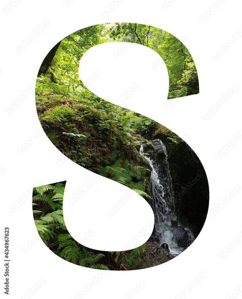 Letras rellenas de imagen de selva tropical, muy verde con cascada ...