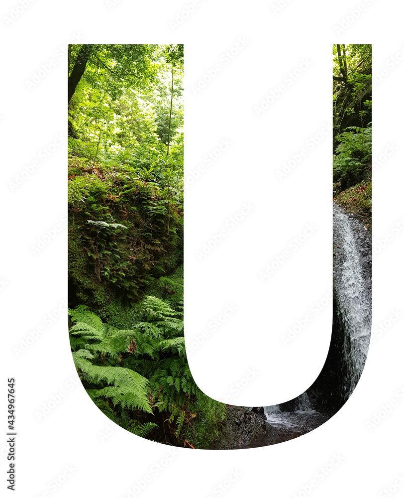 ภาพประกอบสต็อก Letras rellenas de imagen de selva tropical, muy verde ...