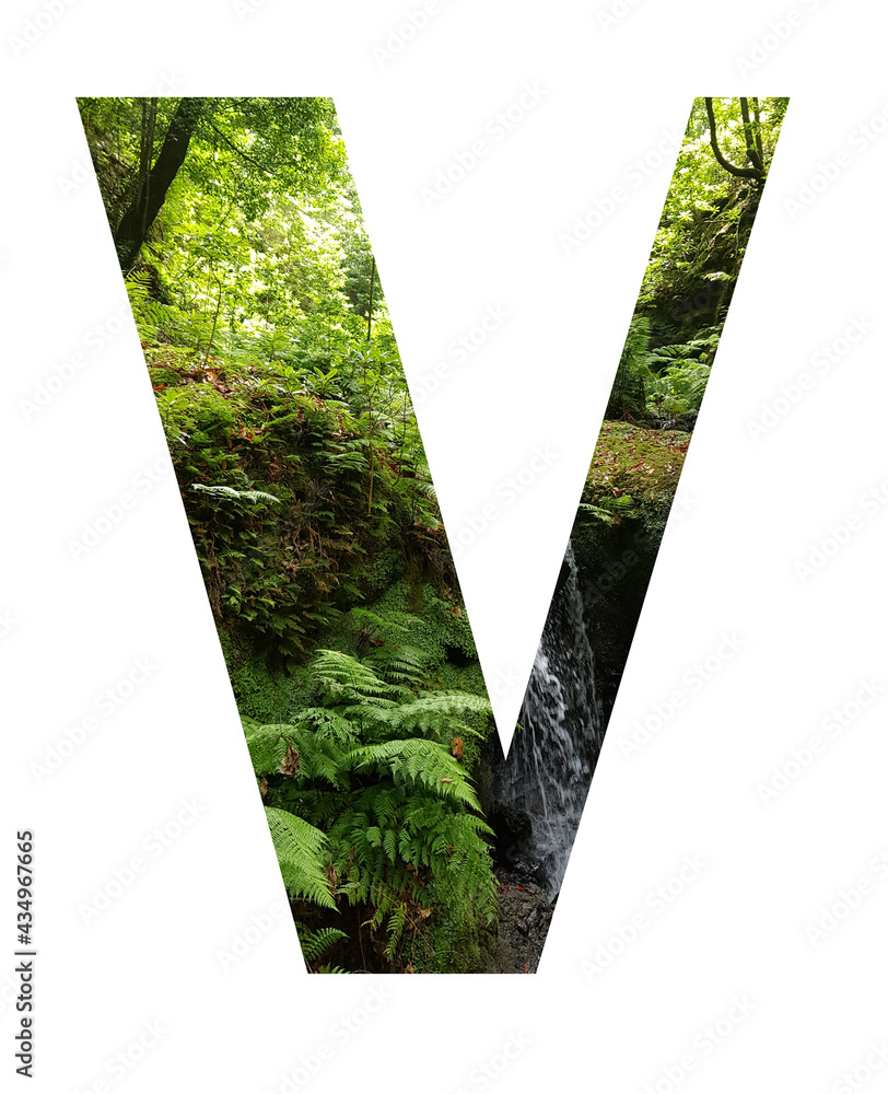 Letras rellenas de imagen de selva tropical, muy verde con cascada ...