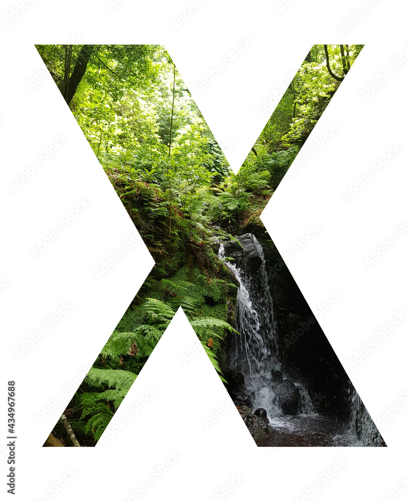 Letras rellenas de imagen de selva tropical, muy verde con cascada ...