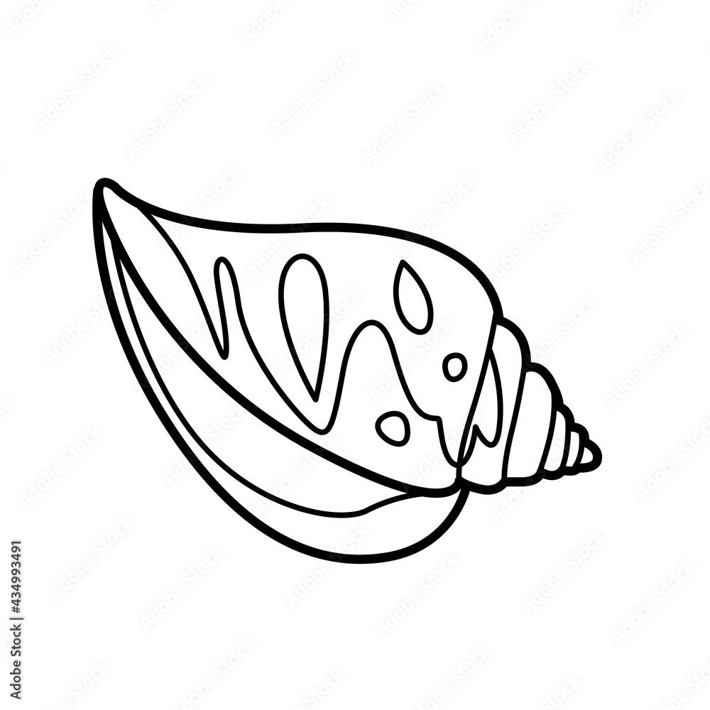 Miter motley cone shell in the drawing circles outlined for coloring ...