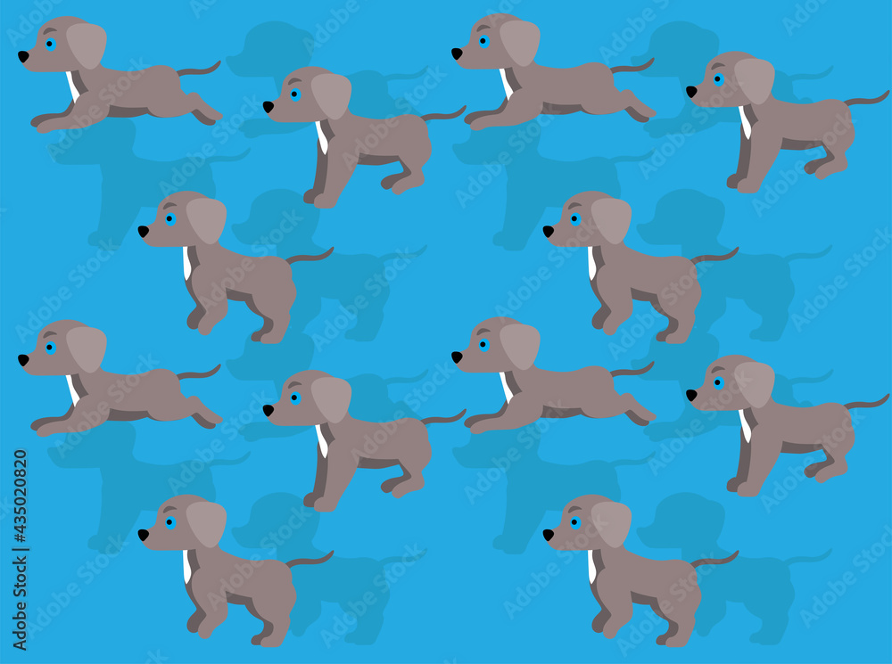 Animal Animation Sequence Dog Blue Lacy Walking Cartoon Vector Seamless ...