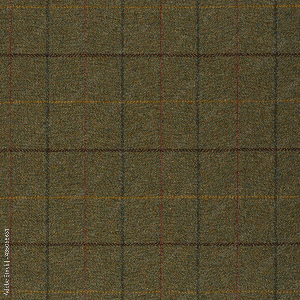 Plaid tweed fabric texture in green Stock Photo | Adobe Stock