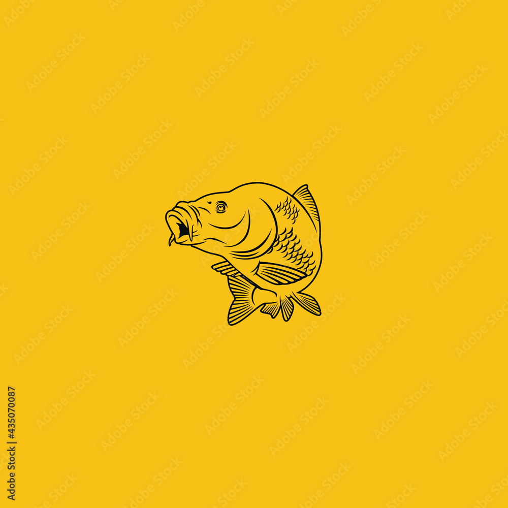 mirror carp Stock Vector | Adobe Stock