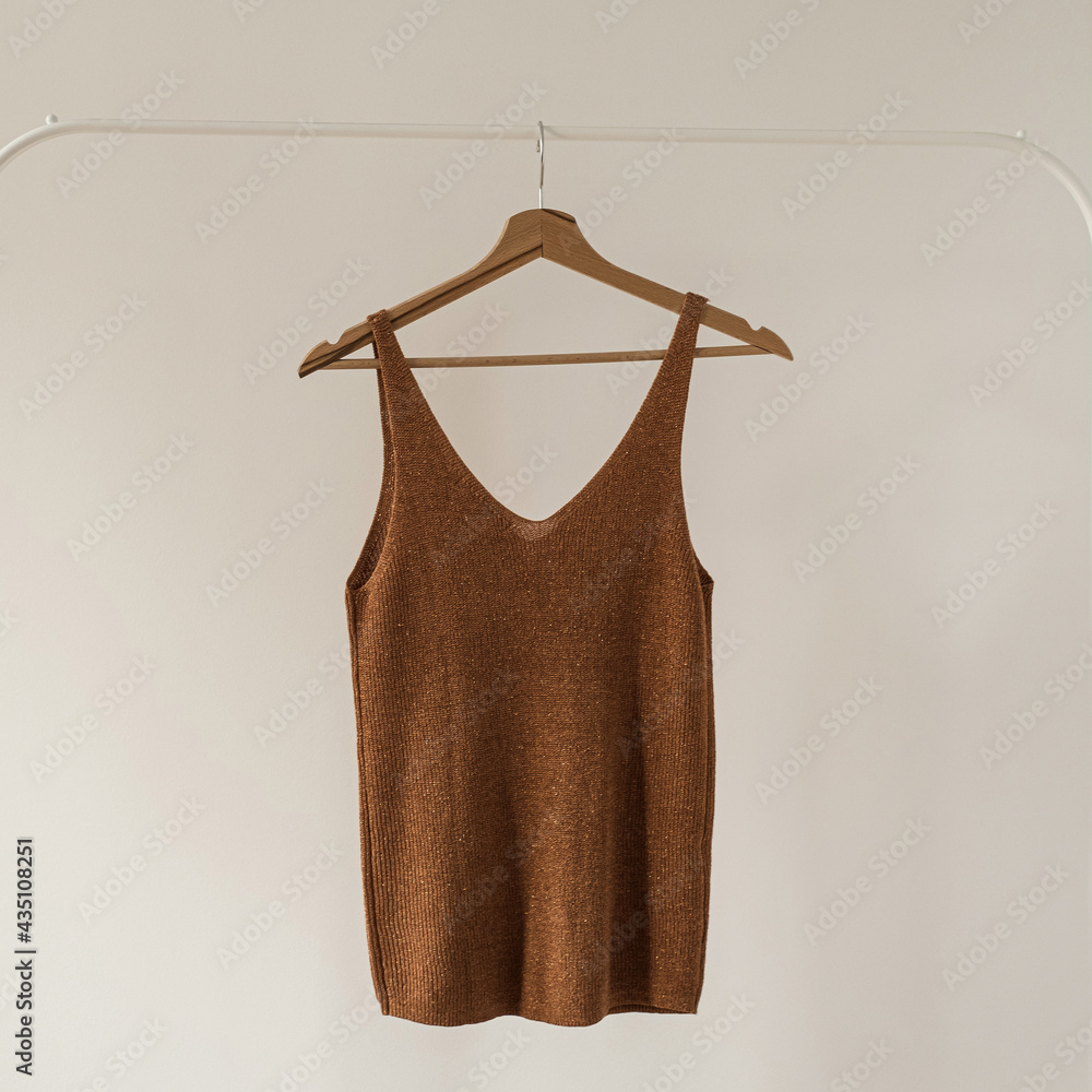 Aesthetic minimalist fashion influencer blog composition. Brown female ...