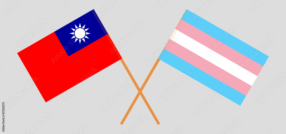 Crossed flags of Taiwan and Transgender Pride. Official colors. Correct ...