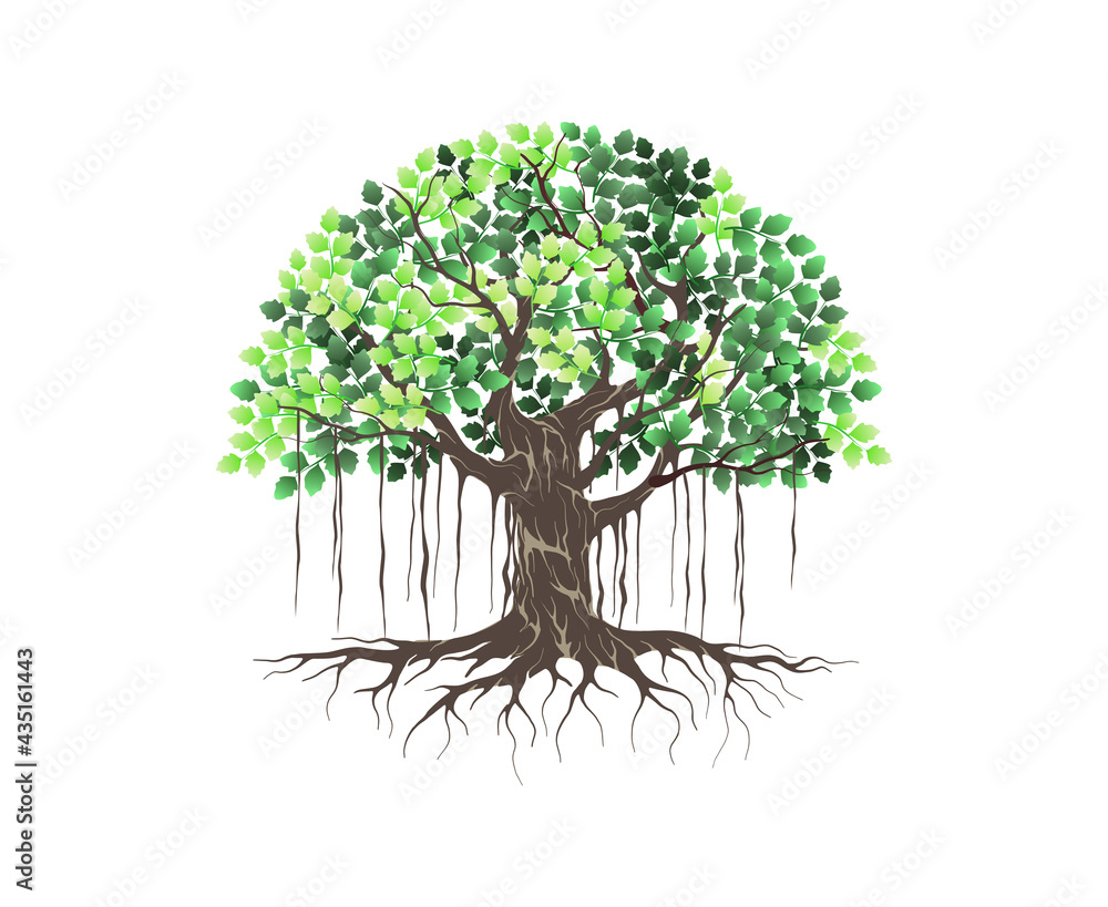 Banyan tree image vector illustrations Stock Vector | Adobe Stock
