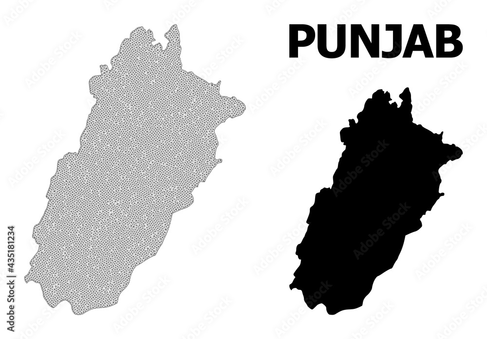 Polygonal mesh map of Punjab Province in high detail resolution. Mesh ...
