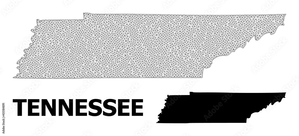 Polygonal mesh map of Tennessee State in high detail resolution. Mesh ...