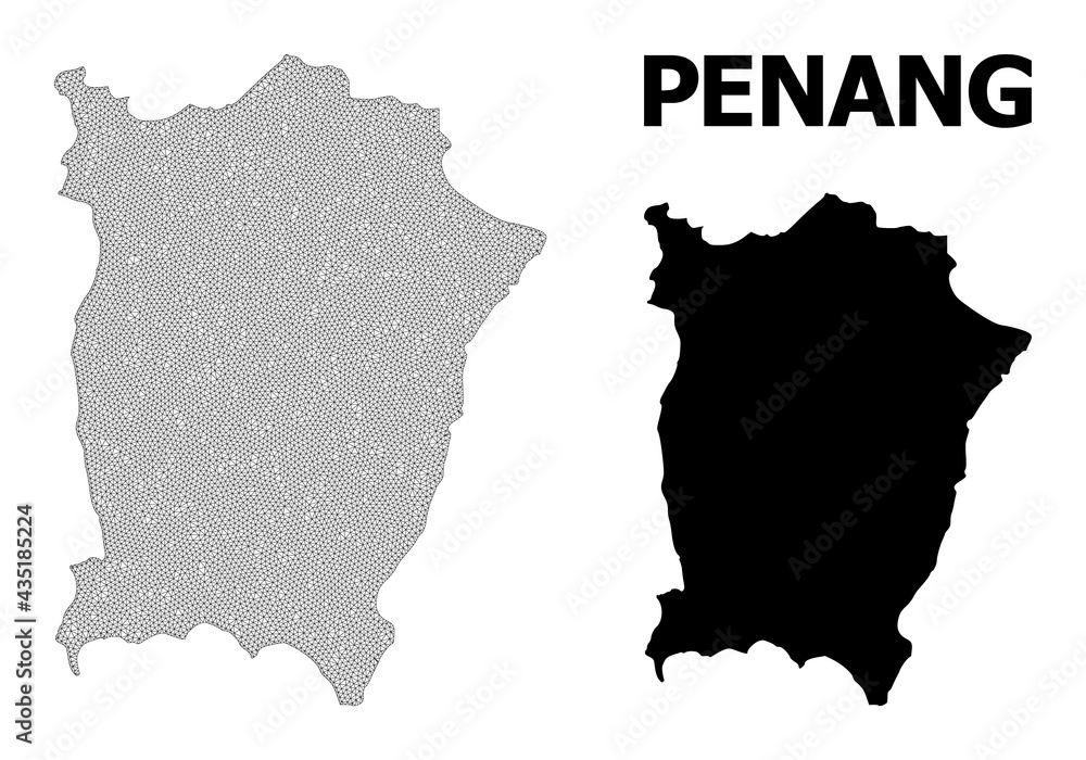 Polygonal mesh map of Penang Island in high resolution. Mesh lines, triangles and points form ...