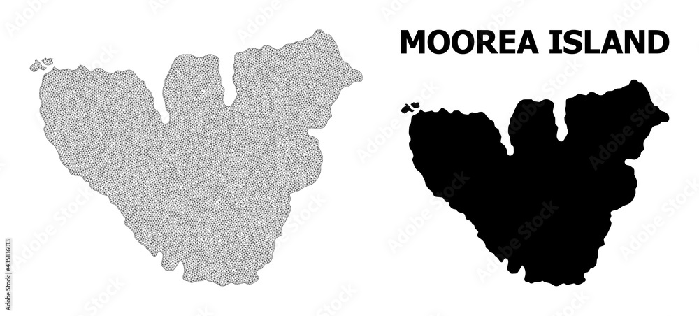 Polygonal mesh map of Moorea Island in high detail resolution. Mesh lines, triangles and points ...