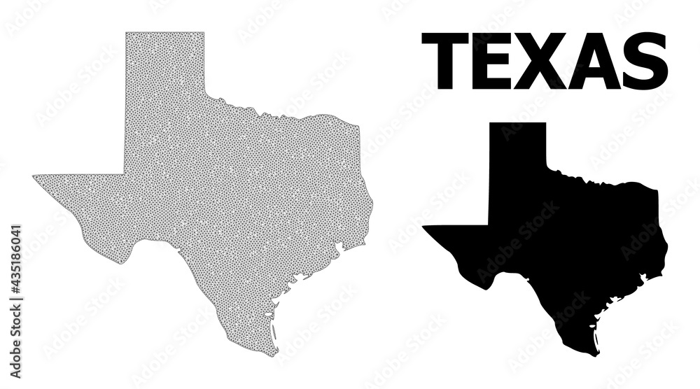 Polygonal mesh map of Texas State in high detail resolution. Mesh lines ...