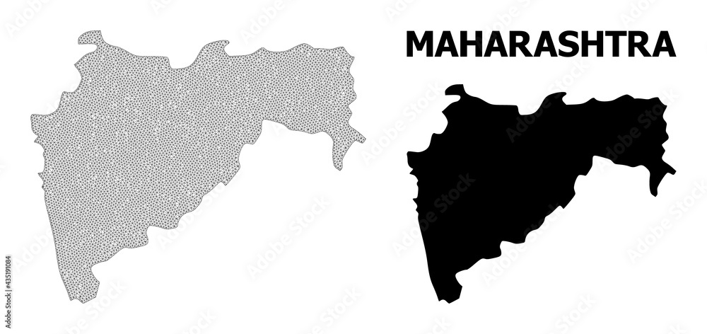 Polygonal mesh map of Maharashtra State in high detail resolution. Mesh ...