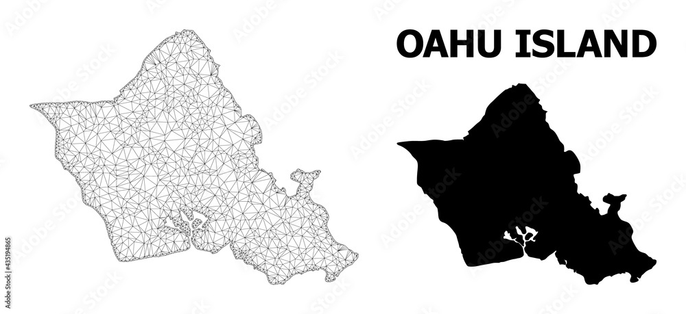 Polygonal mesh map of Oahu Island in high resolution. Mesh lines ...