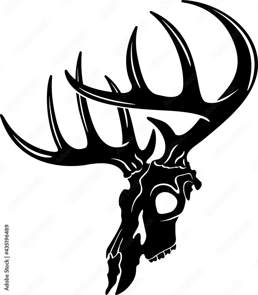 vector deer buck skull with antlers Stock Vector | Adobe Stock