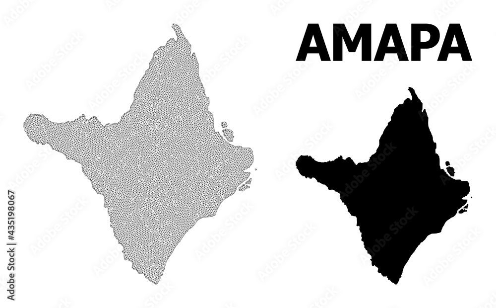 Polygonal mesh map of Amapa state in high resolution. Mesh lines ...