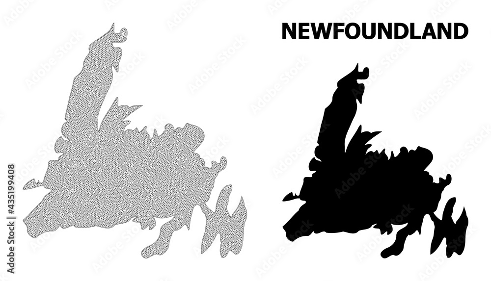 Polygonal mesh map of Newfoundland Island in high detail resolution ...