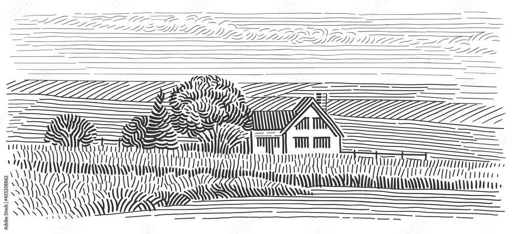 House in field line art illustration. Rural countryside monochrome ...