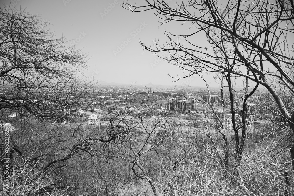 Concrete construction and dying forests with dead trees, Concept of ...