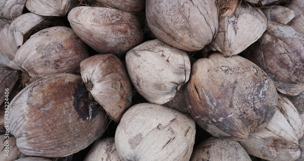 coconut husk background Stock Photo | Adobe Stock
