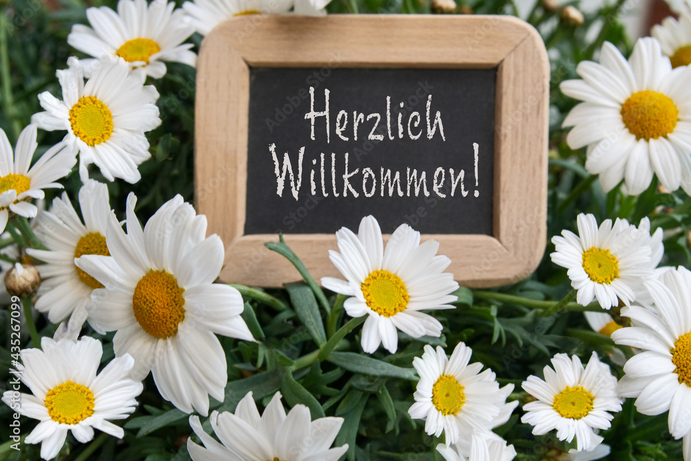 Herzlich Willkommen Weisse Blumen Mit Tafel Und Text Stock Photo herzlich-willkommen-weisse-blumen-mit-tafel-und-text-stock-photo