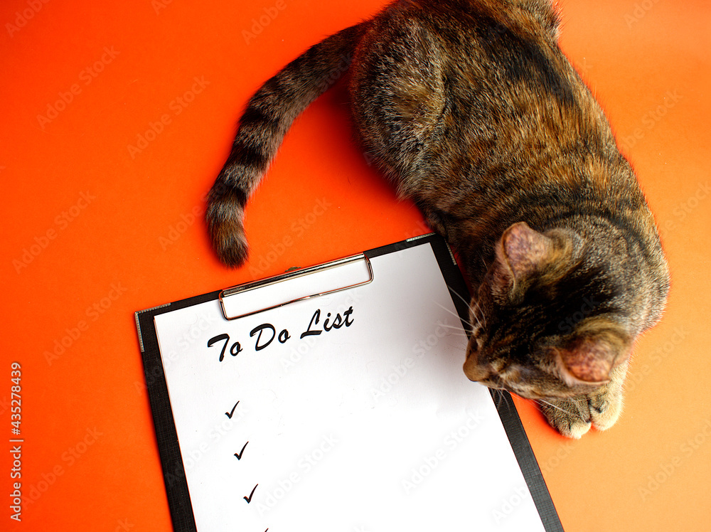 Copy Cat Writings