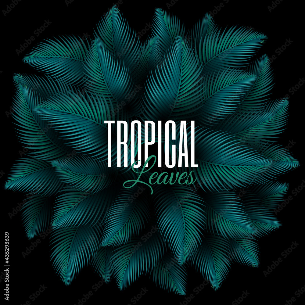 Round concept composition with tropical plants. Natural Realistic Green ...