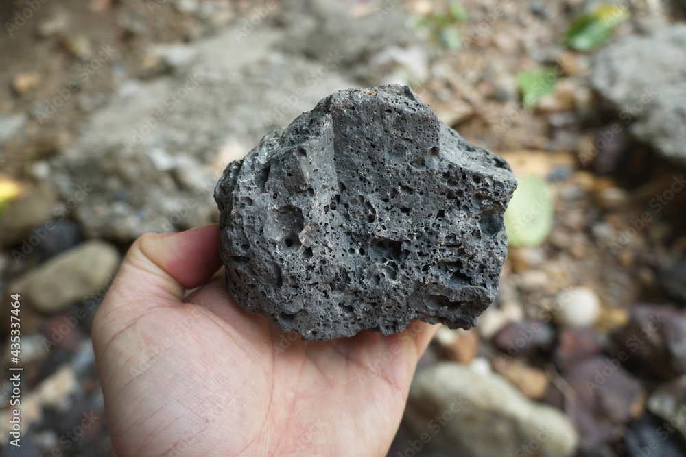 Basalt igneous rock in a hand. Basalt is a dark-colored, fine-grained ...