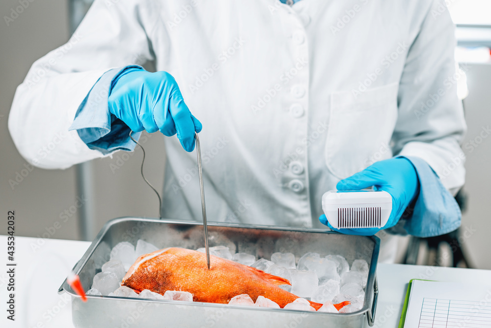 Food Quality Control Inspection of Sea Fish - Measuring Concentrations ...