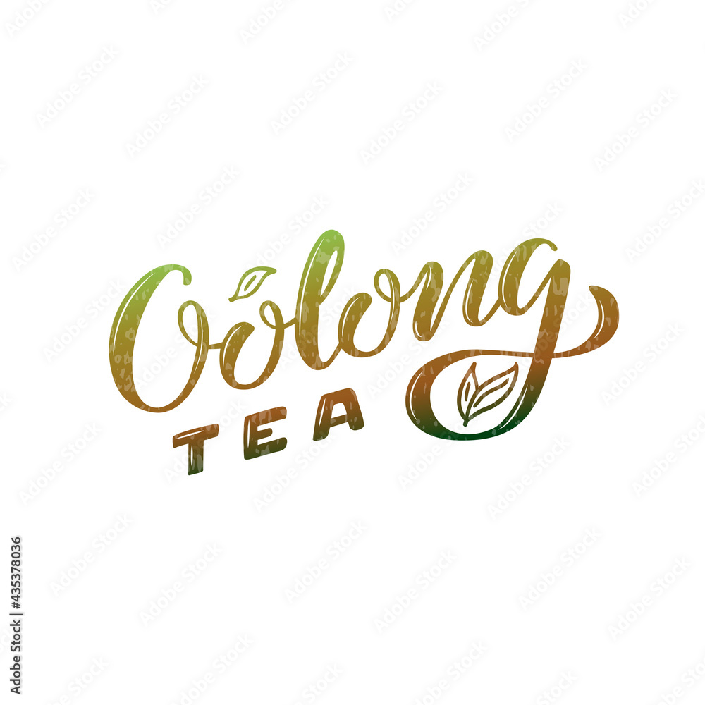 Vector illustration of oolong tea brush lettering for package, banner ...