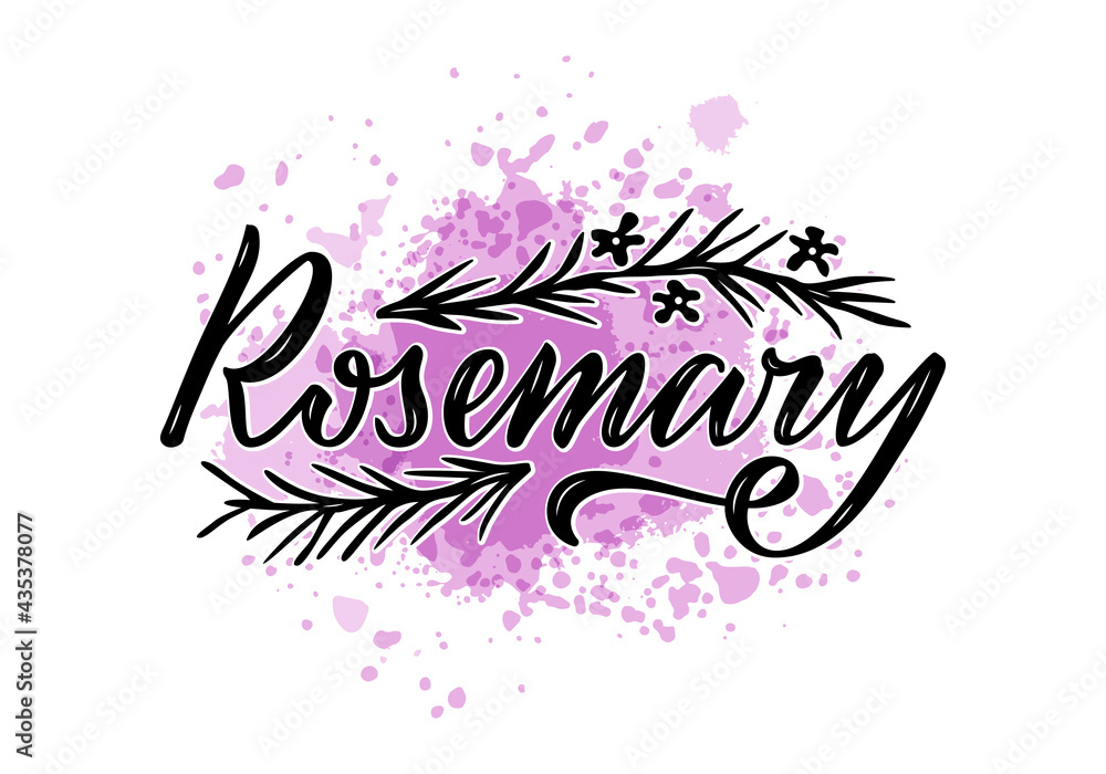 Vector illustration of rosemary lettering for packages, product design ...