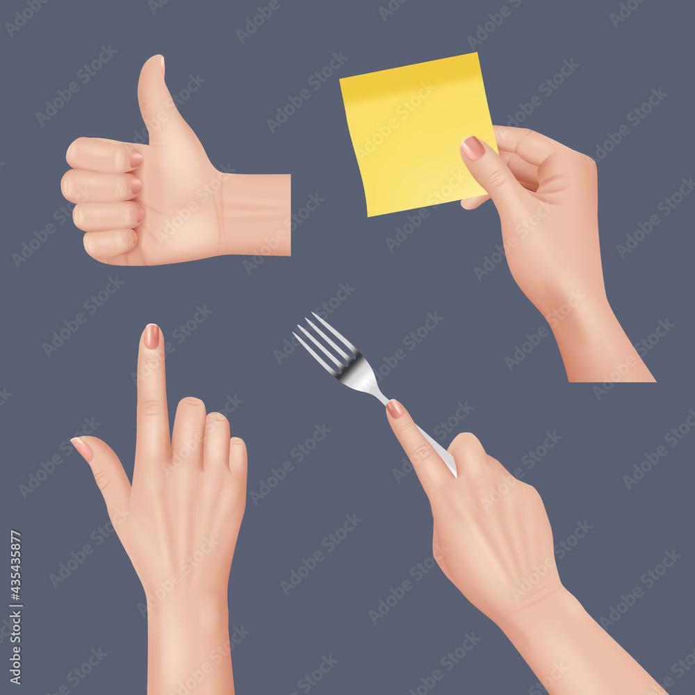 Hands realistic. Various gestures of hands pointing human body anatomy ...