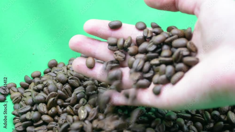 Woman's hand grabbing coffee beans, green screen. Stock Video | Adobe Stock
