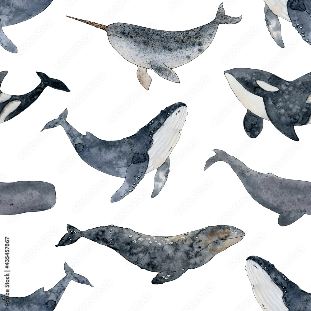 Watercolor whale narwhal digital paper, Sea creatures seamless pattern ...