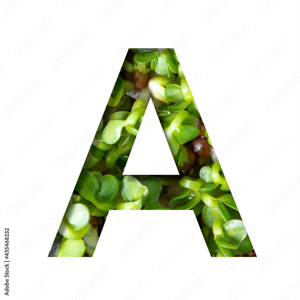 Font on micro greenery.The letter A cut out of paper on the background ...