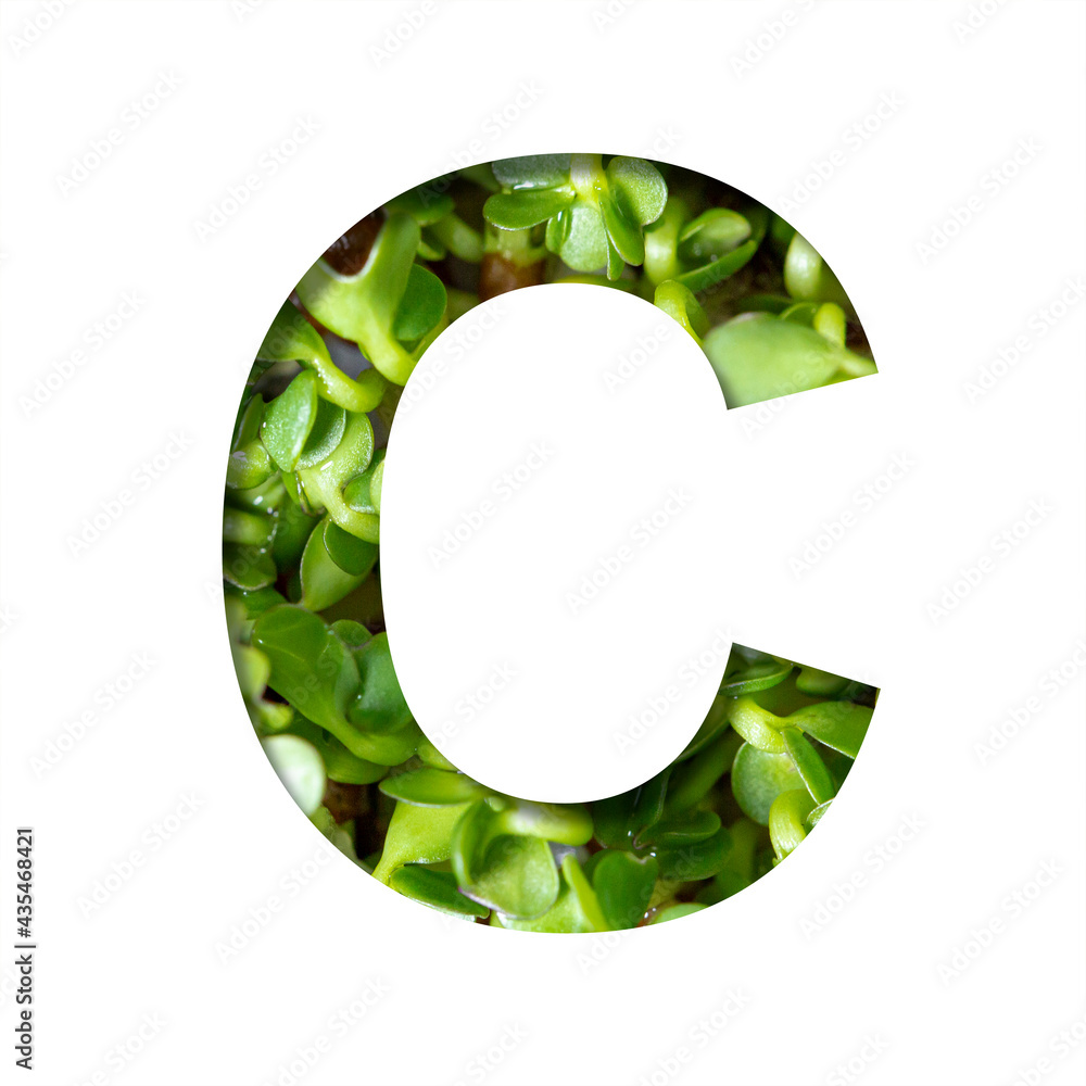Font on micro greenery.The letter C cut out of paper on the background ...